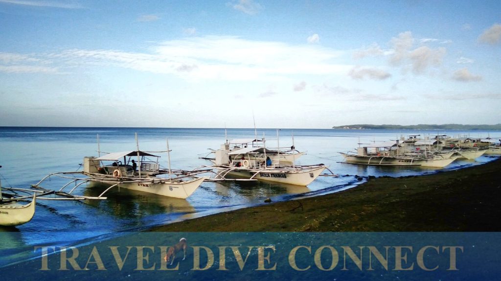 Donsol 2017: On the Trail of Whale Sharks